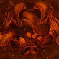 Fossil evidence of arthropod ancestor | EurekAlert!