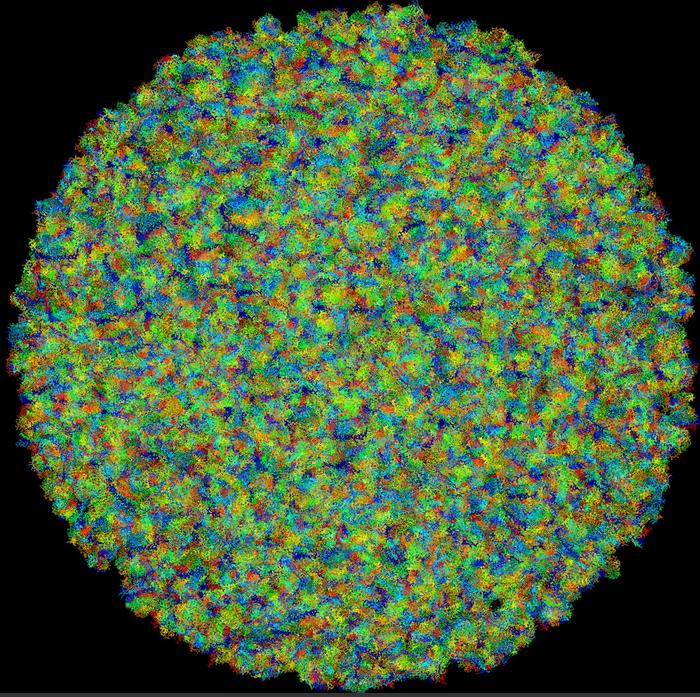 Mycoplasma simulation [IMAGE] | EurekAlert! Science News Releases