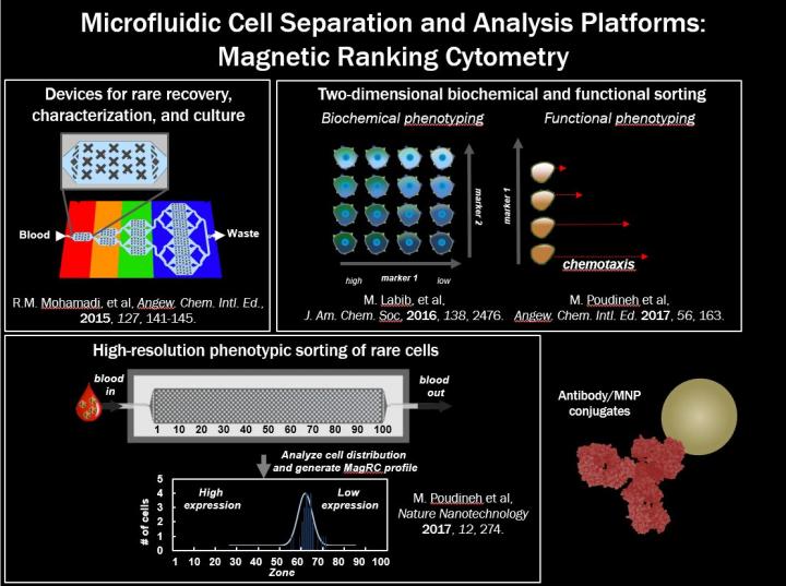 Microfluidic Cell Separation a [IMAGE] | EurekAlert! Science News Releases