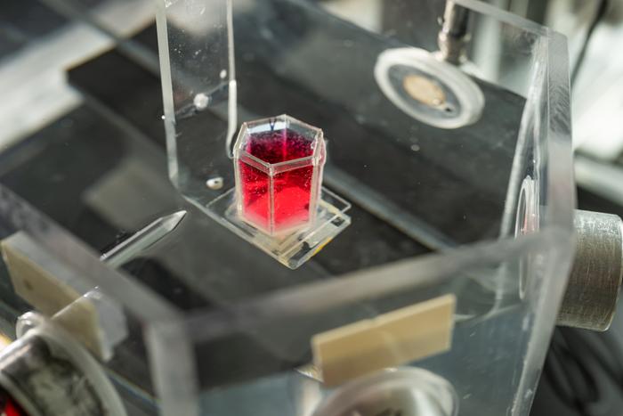 Dual Transducer System [IMAGE] | EurekAlert! Science News Releases