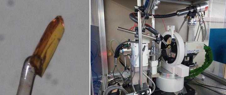 10c Crystal and the Instrument [IMAGE] | EurekAlert! Science News Releases