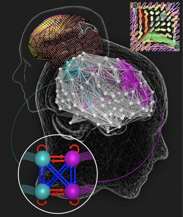 Think harder, not faster: how network structu | EurekAlert!