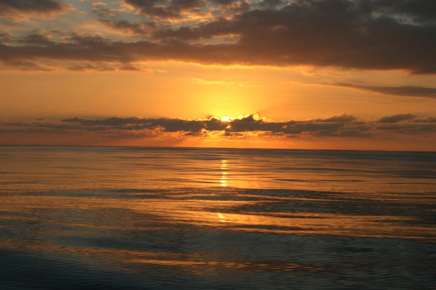 Station ALOHA [IMAGE] | EurekAlert! Science News Releases