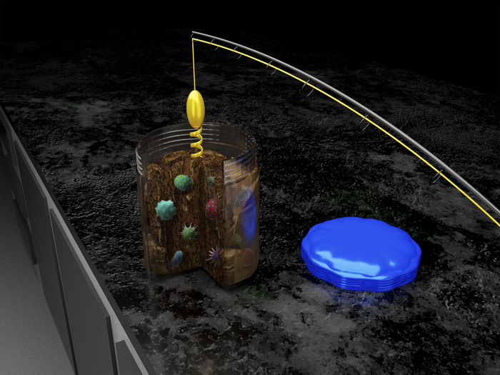 Probing How Microbiomes Affect [IMAGE] | EurekAlert! Science News Releases