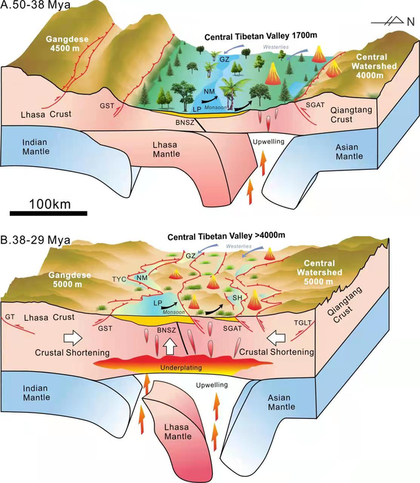 Block models illustrating the [IMAGE] | EurekAlert! Science News Releases