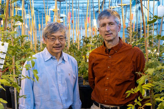 Jiming Jiang and David Douches [IMAGE] | EurekAlert! Science News Releases