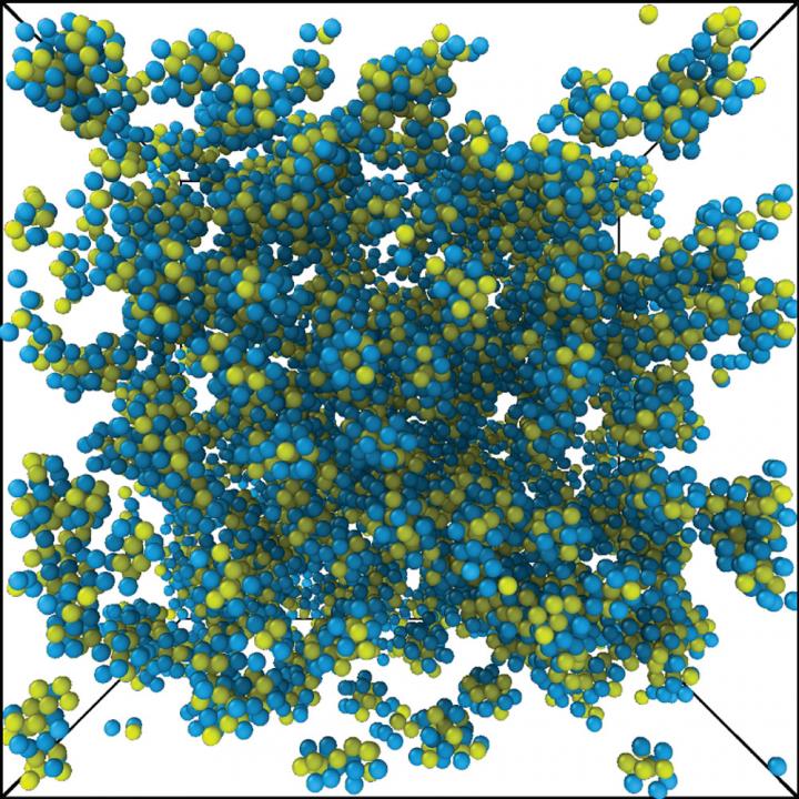 Atomic Fractal Percolation Str [IMAGE] | EurekAlert! Science News Releases