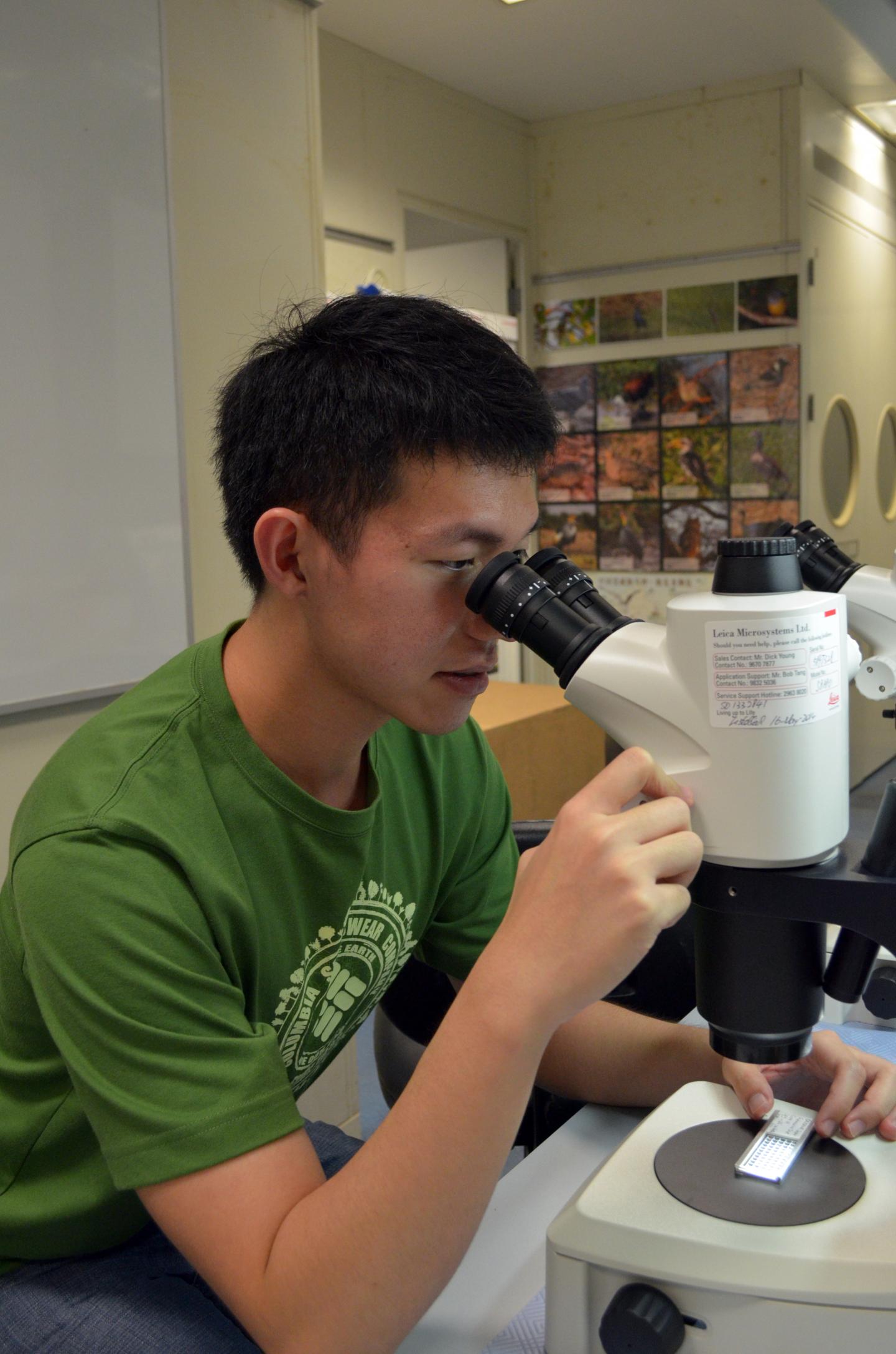 Dr. Richard Cheung, University [IMAGE] | EurekAlert! Science News Releases