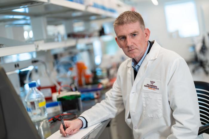 Cancer research [IMAGE] | EurekAlert! Science News Releases