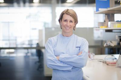 'Protein microarrays' may reveal new weapons | EurekAlert!