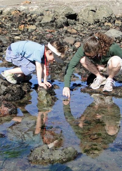 Tide Pool Teaching [IMAGE] | EurekAlert! Science News Releases