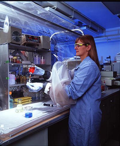 Bioremediation Experiments at Pacific Northwe | EurekAlert!