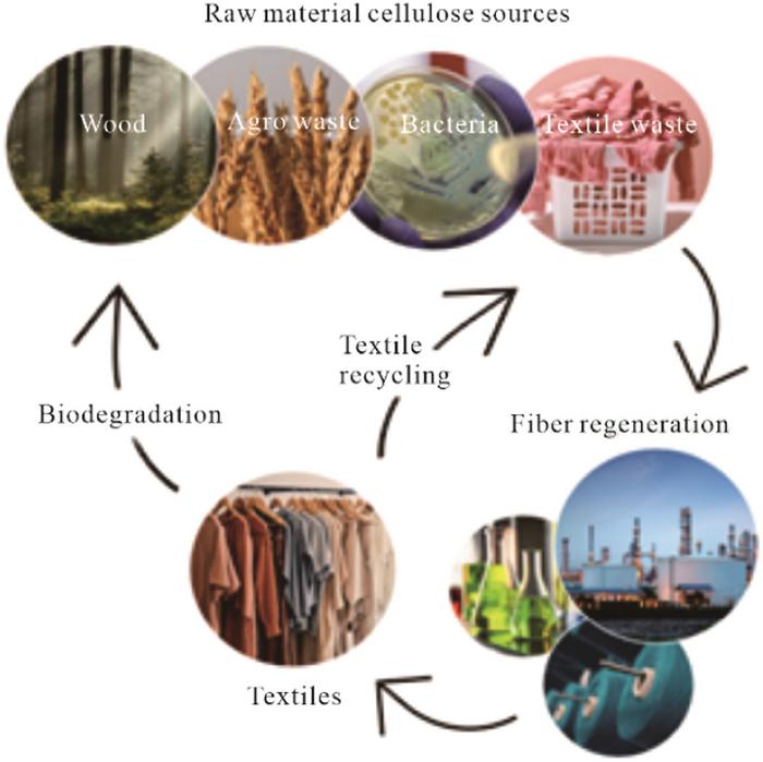 Revolutionizing textiles: Non-wood cellulose | EurekAlert!