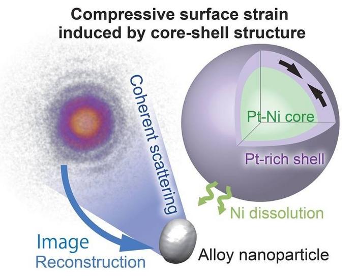 A nickle-platinum nanoscale core with a plati | EurekAlert!