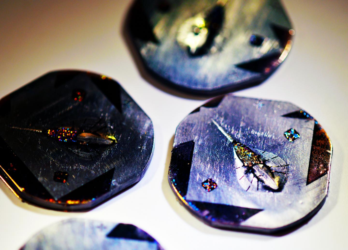 The Debut of a Robotic Stingray, Powered by L | EurekAlert!