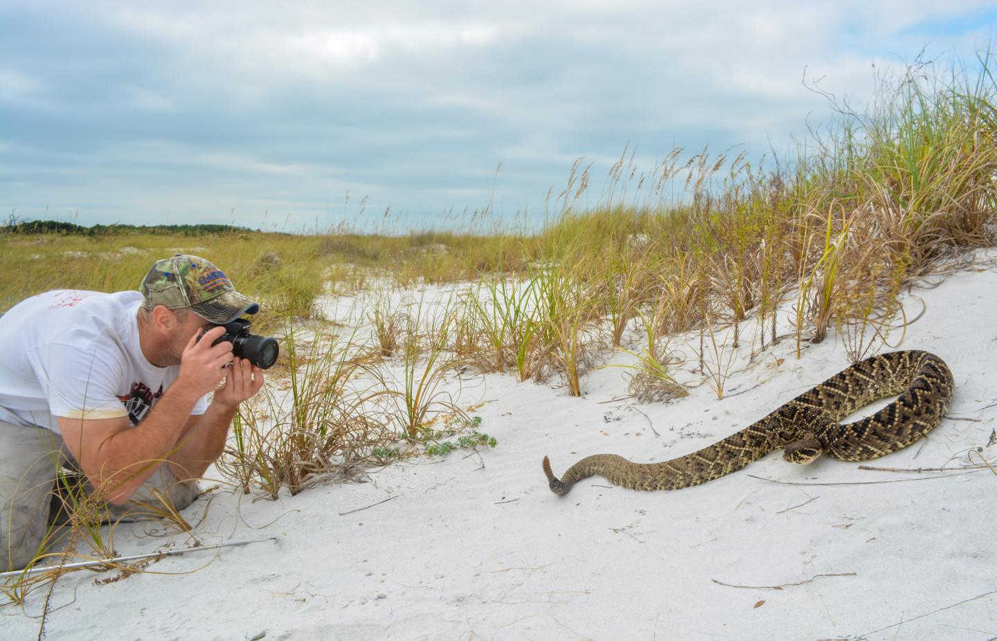 Mark Margres, assistant profes [IMAGE] | EurekAlert! Science News Releases