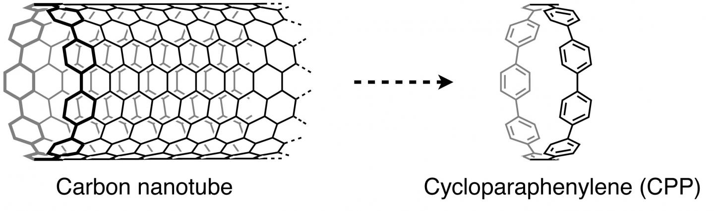Cycloparaphenylene and Carbon [IMAGE] | EurekAlert! Science News Releases