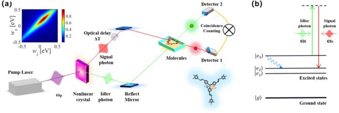 High-speed camera for molecules: entangled ph | EurekAlert!