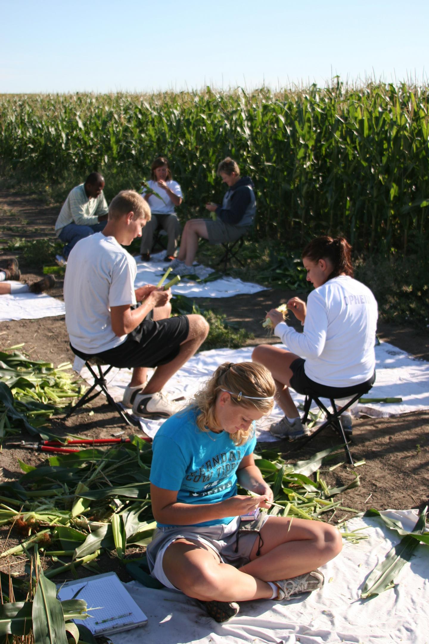 Study Shows Why Less Biodivers [IMAGE] | EurekAlert! Science News Releases