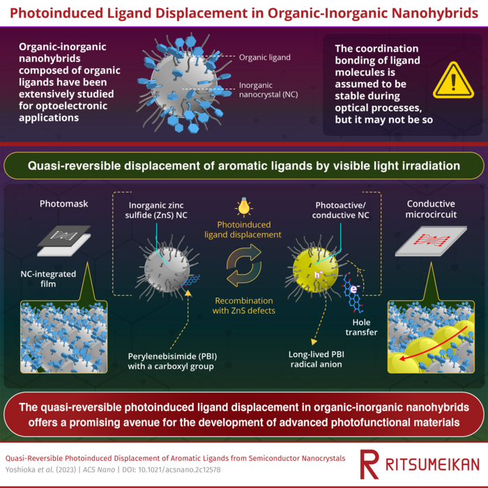 Light-activated reversible dis [IMAGE] | EurekAlert! Science News Releases