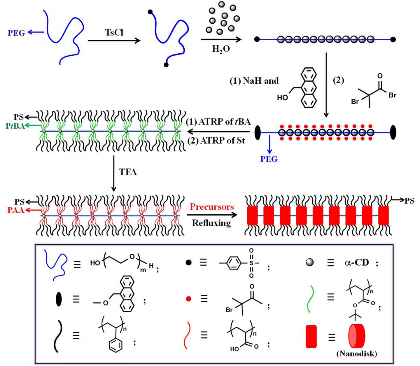 Nanoscale worms provide new route to nano-nec | EurekAlert!