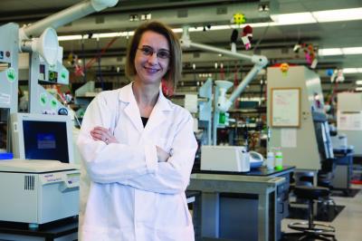 Researchers discover new ways to treat chroni | EurekAlert!