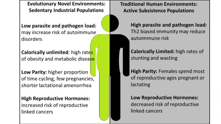 Environmental Differences betw [IMAGE] | EurekAlert! Science News Releases