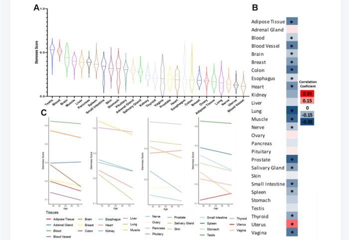 Figure 1 [IMAGE] | EurekAlert! Science News Releases