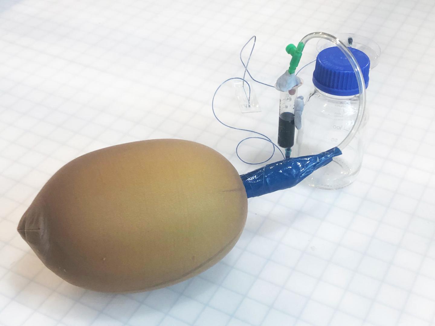 DIY Balloon Pump [IMAGE] | EurekAlert! Science News Releases