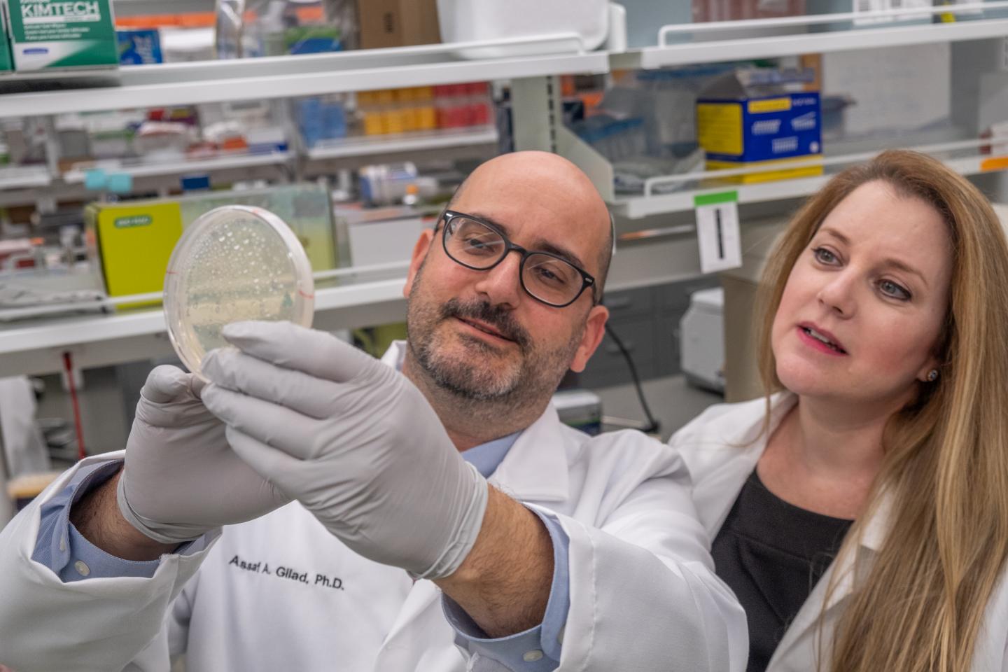 Assaf Gilad and Galit Pelled, [IMAGE] | EurekAlert! Science News Releases