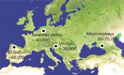 Neandertal Genome Sequenced (8 of 9) | EurekAlert!