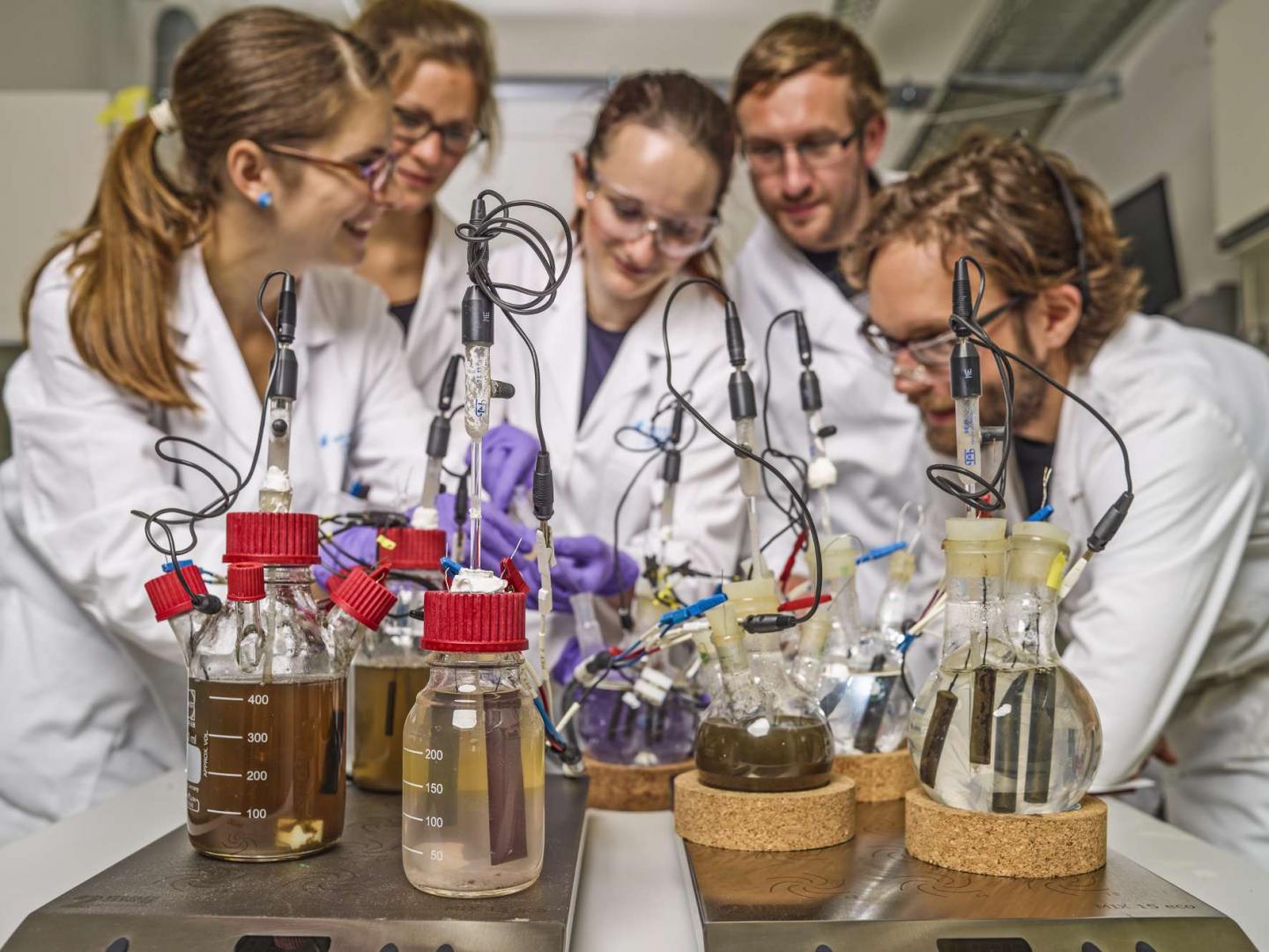 Research Team [IMAGE] | EurekAlert! Science News Releases