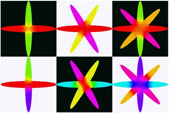 Magnetic memory states go expo [IMAGE] | EurekAlert! Science News Releases