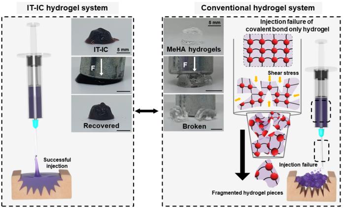 Figure 1 [IMAGE] | EurekAlert! Science News Releases