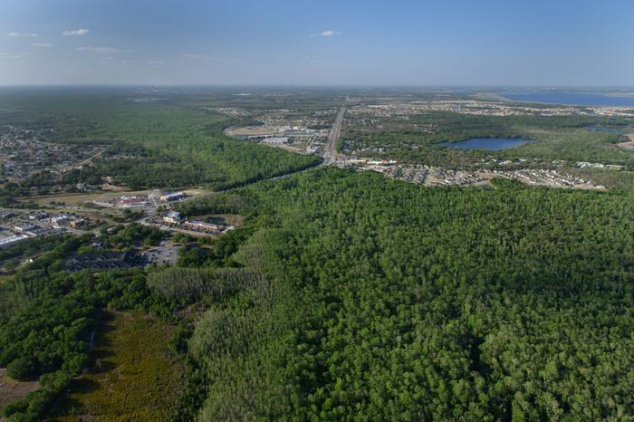 Aerial View Florida Wildlife C [IMAGE] | EurekAlert! Science News Releases