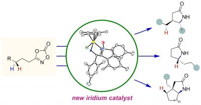 Figure 3: Selective Amidation [IMAGE] | EurekAlert! Science News Releases