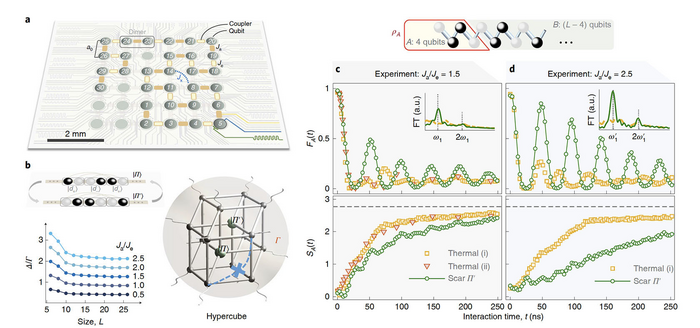 Experimental setup and identif [IMAGE] | EurekAlert! Science News Releases