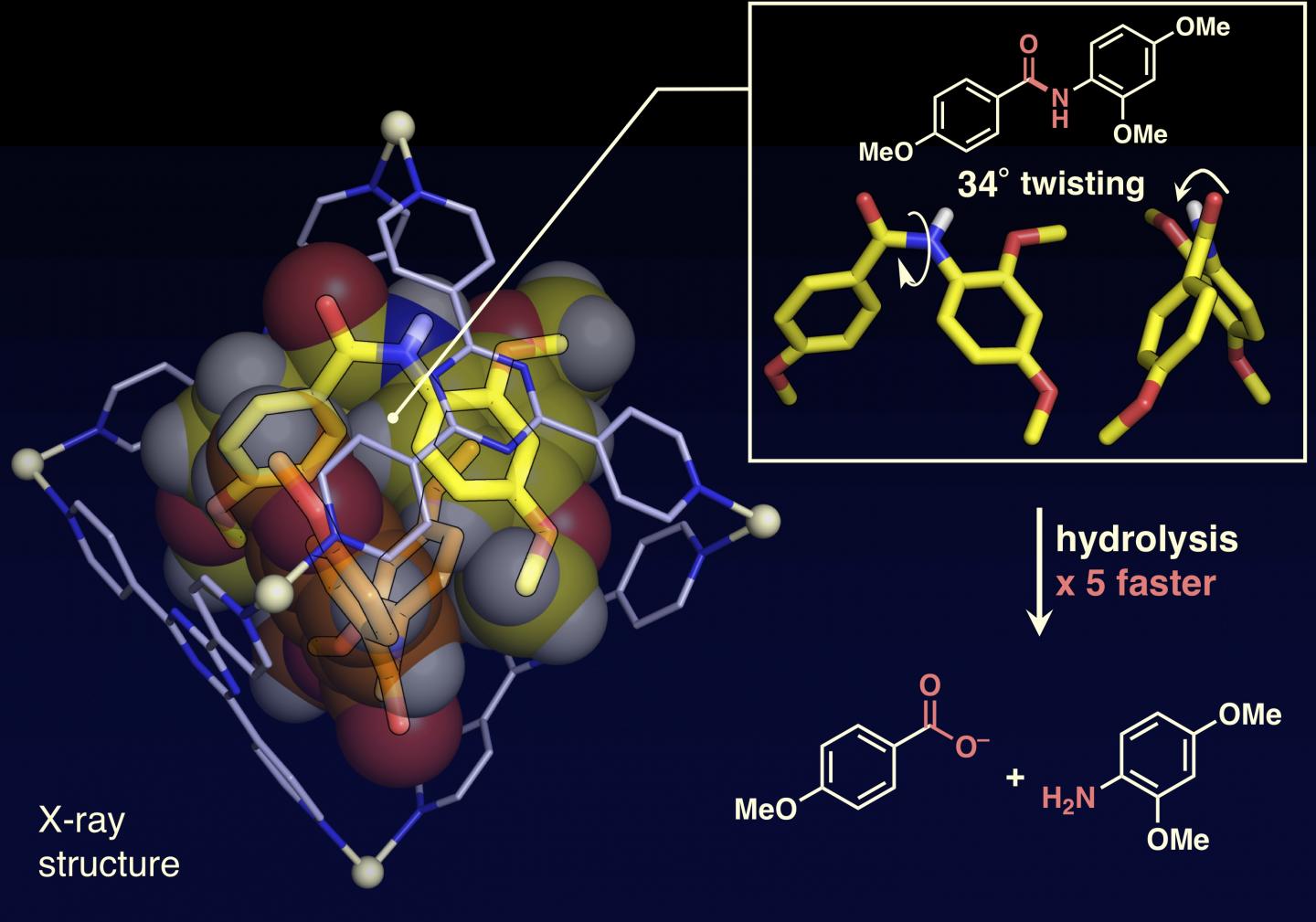 Twisted Amides [IMAGE] | EurekAlert! Science News Releases