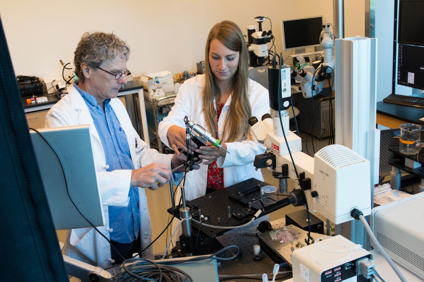 Dizzying Sounds [IMAGE] | EurekAlert! Science News Releases