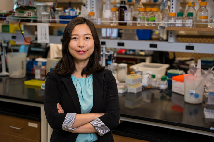 Lu Han, Ph.D. [IMAGE] | EurekAlert! Science News Releases