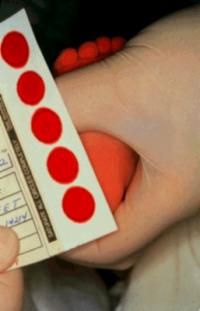 Archived Guthrie cards find a new purpose | EurekAlert!