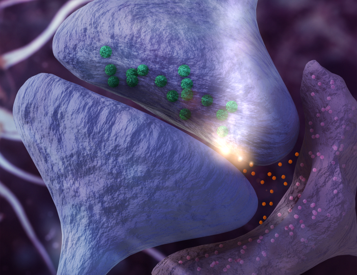 3D RENDERING [IMAGE] | EurekAlert! Science News Releases