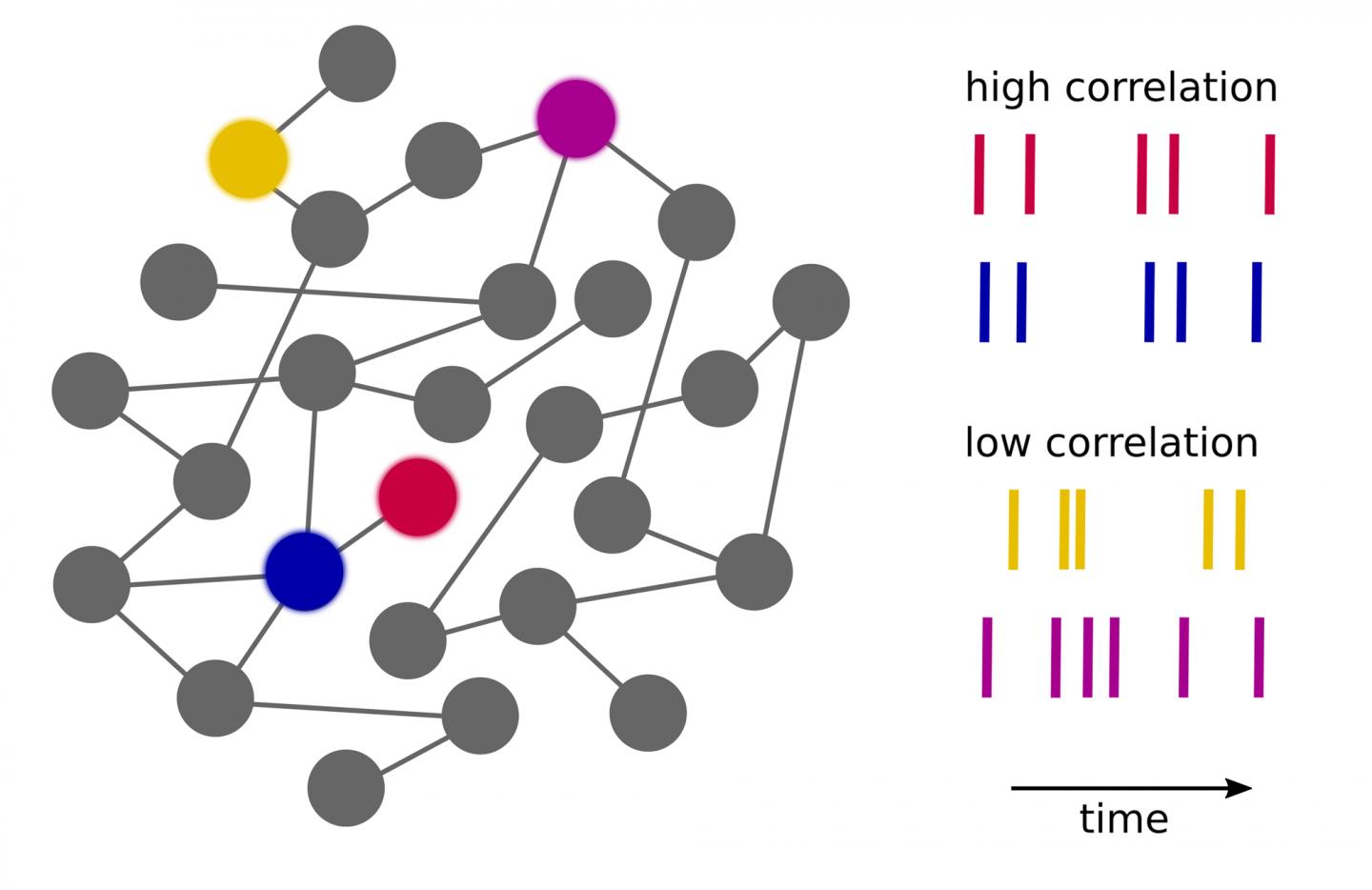 Network Model [IMAGE] | EurekAlert! Science News Releases