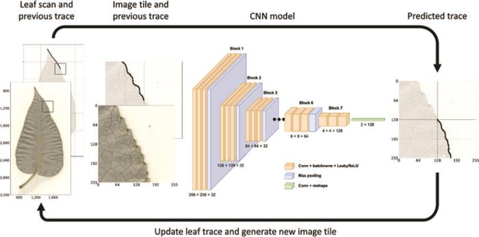 Fig. 1 [IMAGE] | EurekAlert! Science News Releases