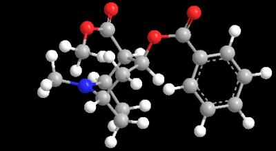 Molecular Structure of Cocaine [IMAGE] | EurekAlert! Science News Releases