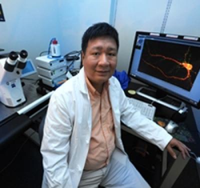 Dr. Bo-Shiun Chen, Georgia Hea [IMAGE] | EurekAlert! Science News Releases