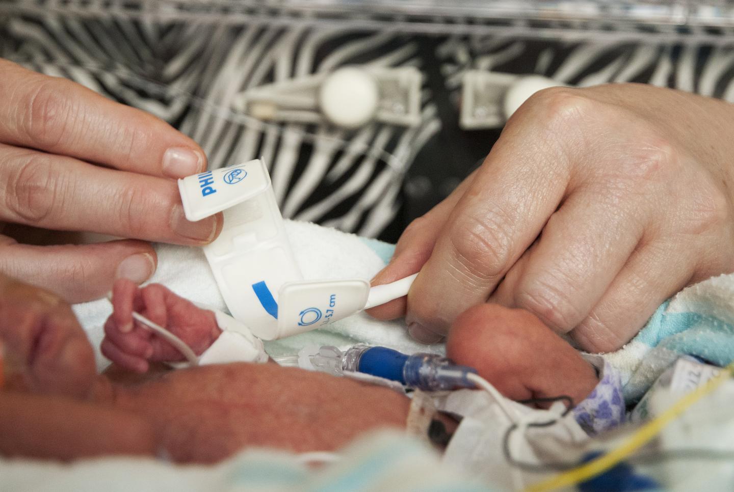 Preterm Infant Care in a Neona [IMAGE] | EurekAlert! Science News Releases