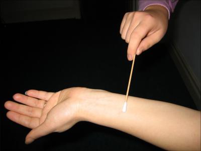 Human skin harbors completely unknown bacteri | EurekAlert!