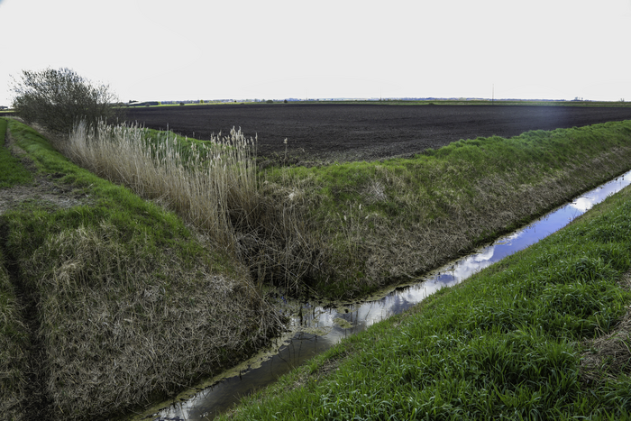 Drainage ditch [IMAGE] | EurekAlert! Science News Releases