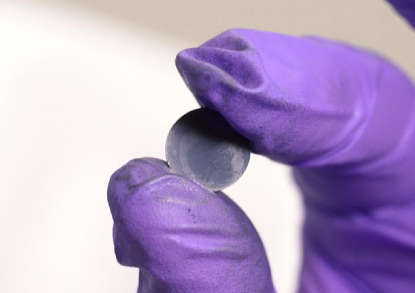 Pellet (3 of 3) [IMAGE] | EurekAlert! Science News Releases